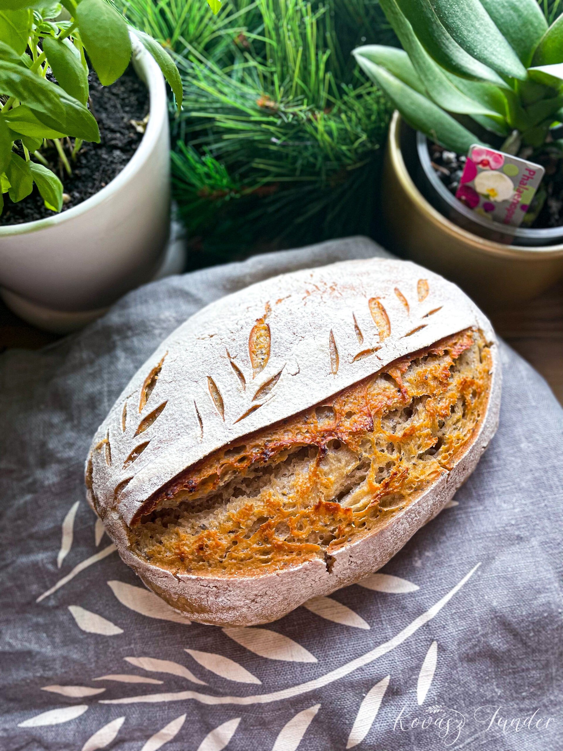 Kovászos chia magos köményes kenyér - KovászTündér