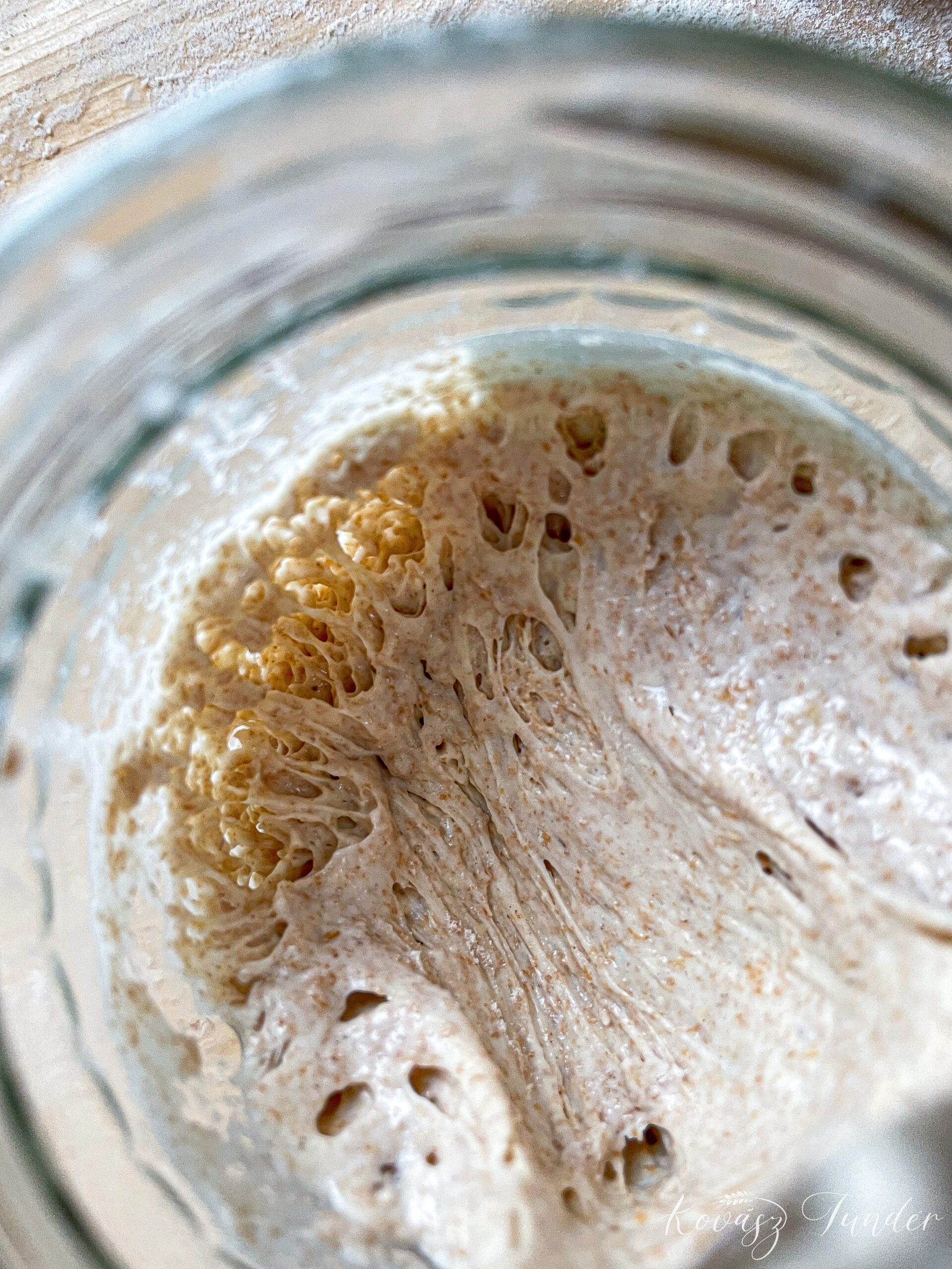 Lievito Madre: Starting from "scratch" or "re-educating"? - The big ...