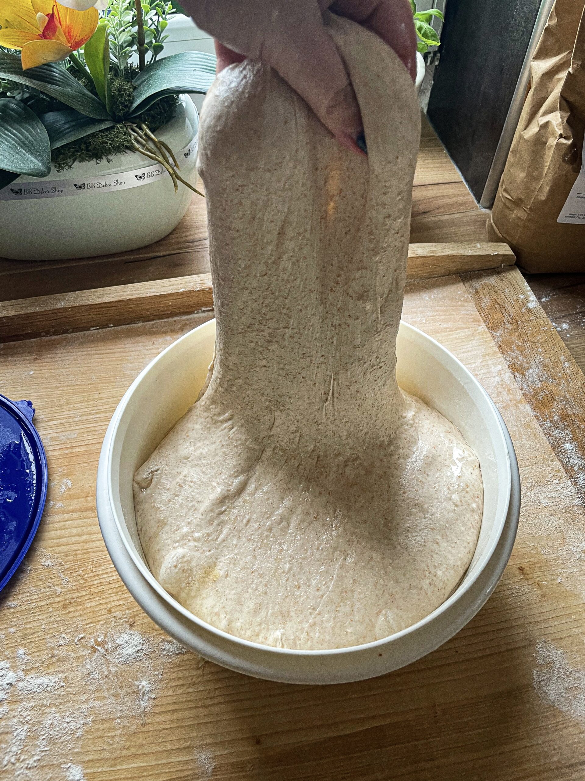 Strengthening the Pasta: Folding Techniques - KovászT fairy